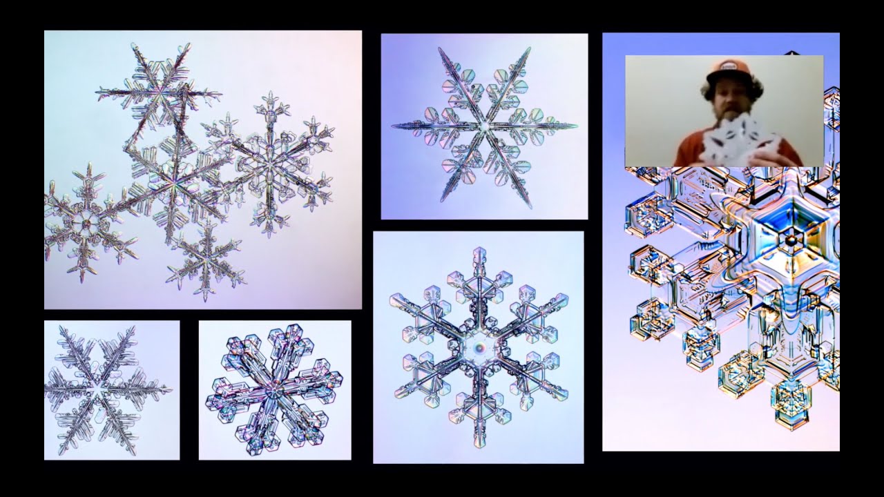 SnowSchool at Home: What do snow crystals look like? (3rd-5th Grade ...