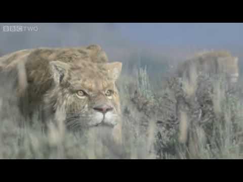 Walking with beasts no species last forever fan made