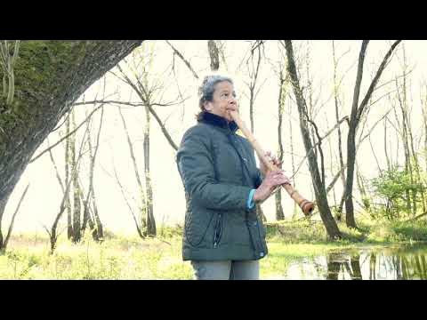 Improvisation in the Woods with Shakuhachi Flute and Birds Songs - YouTube