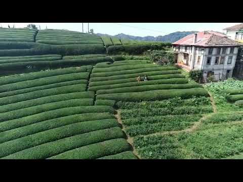 Rize/Çayeli