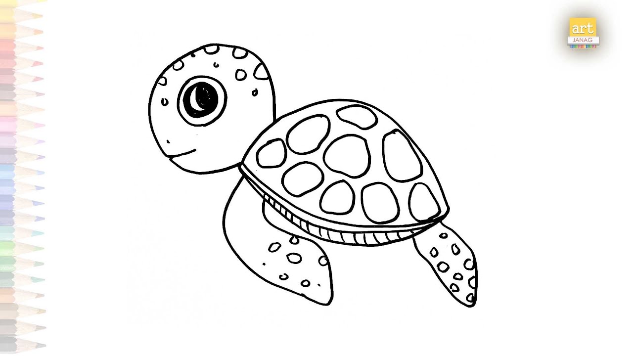 Baby tortoise drawing | Sea animal drawings | How to draw Baby tortoise ...