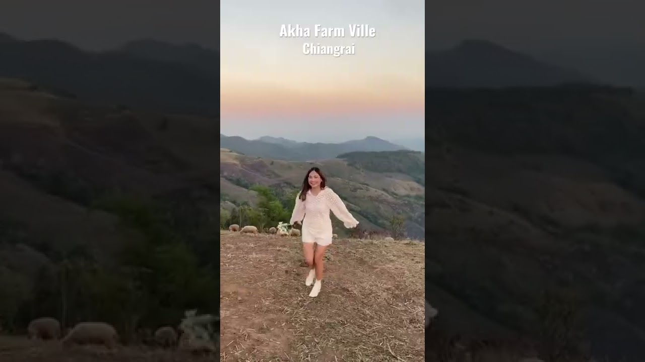 Akha Farm ville in Chiangrai. 🌿#chiangrai #คาเฟ่เชียงราย #ฟาร์มแกะ ...
