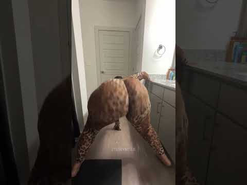 ItsWynter 2 Min Ass Clapping | Compilation