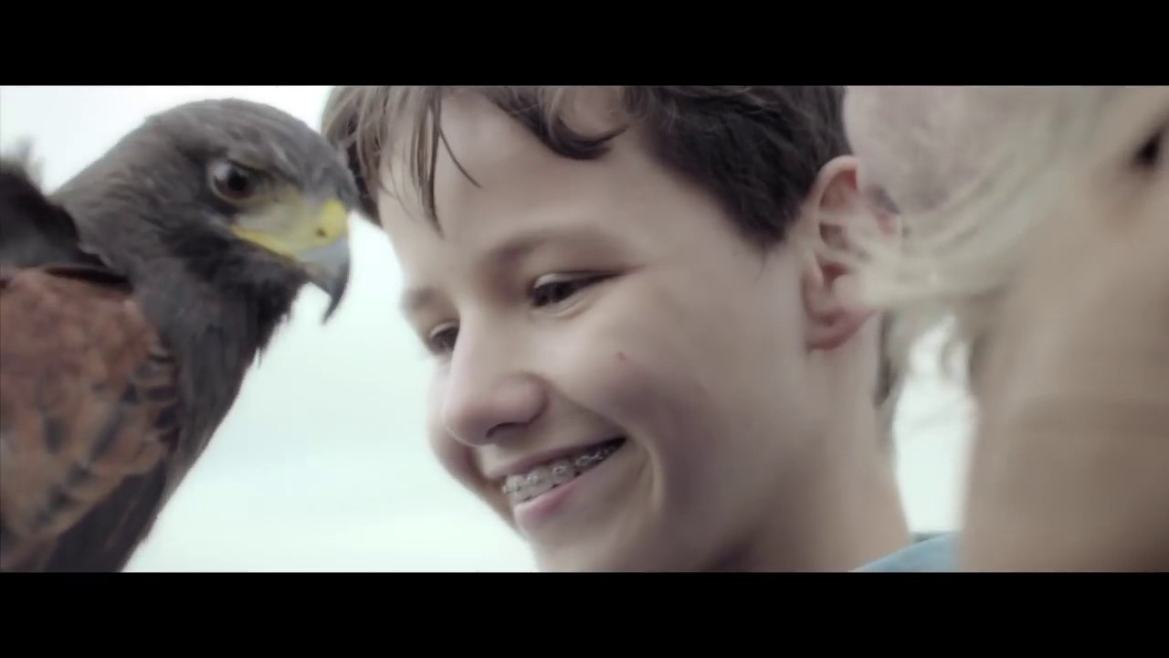 Rudimental Free ft Emeli Sandé Official Video - YouTube