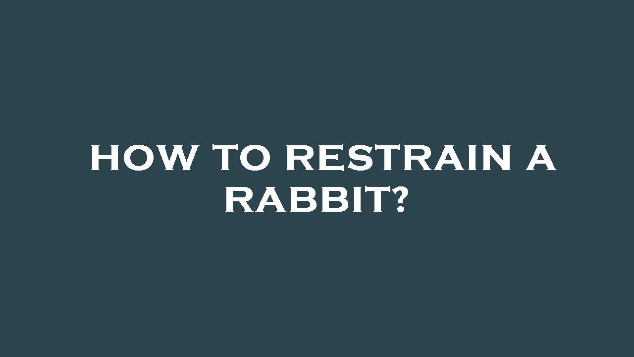 How to restrain a rabbit? - YouTube