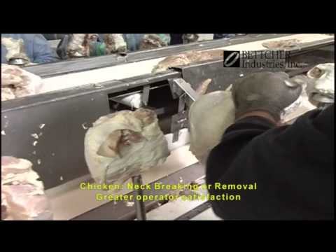 Poultry Neck Breaking or Removal - YouTube