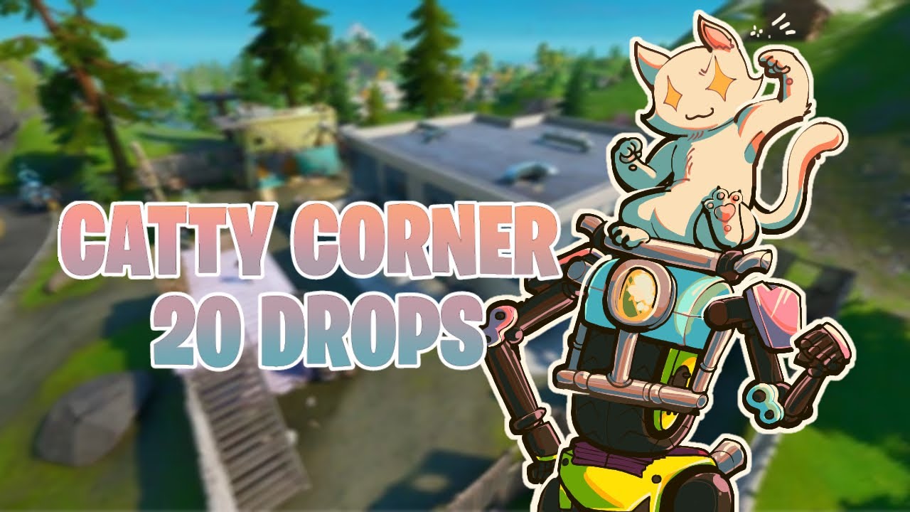 I Dropped Catty Corner 20 Times AGAIN Again, and This is What Happened ...