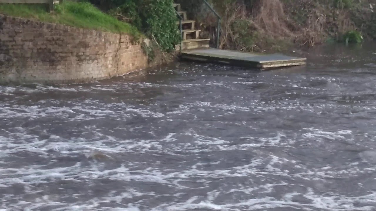 Carthagena fishery weirpool in flood - YouTube