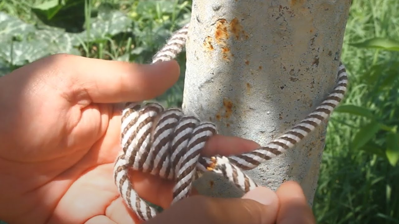 World's MOST DANGEROUS Knot! ..or the most USEFUL 😉😉 - YouTube