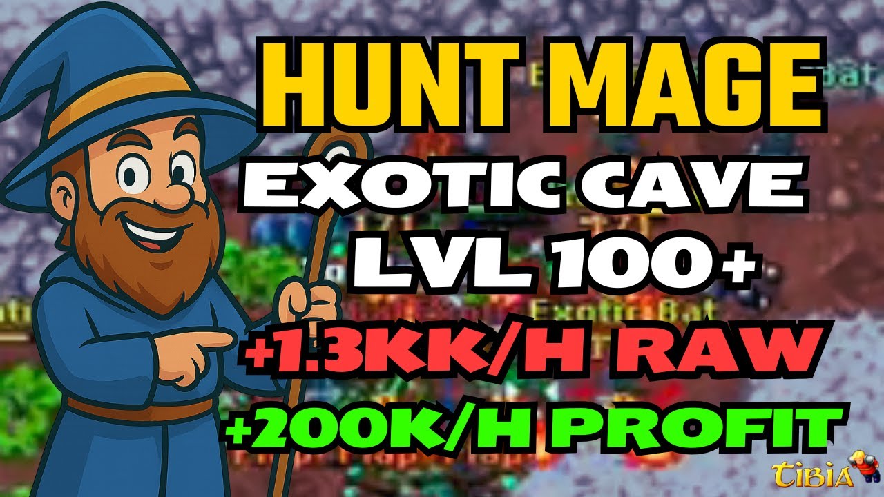 A Melhor Hunt Para Mage lvl 100+?🤔 Exotic Cave MOSTRANDO Resultado ...