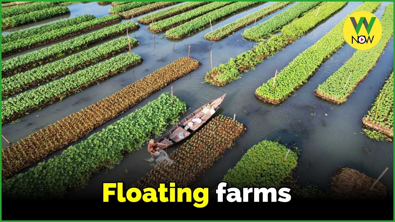 Floating Farms - YouTube