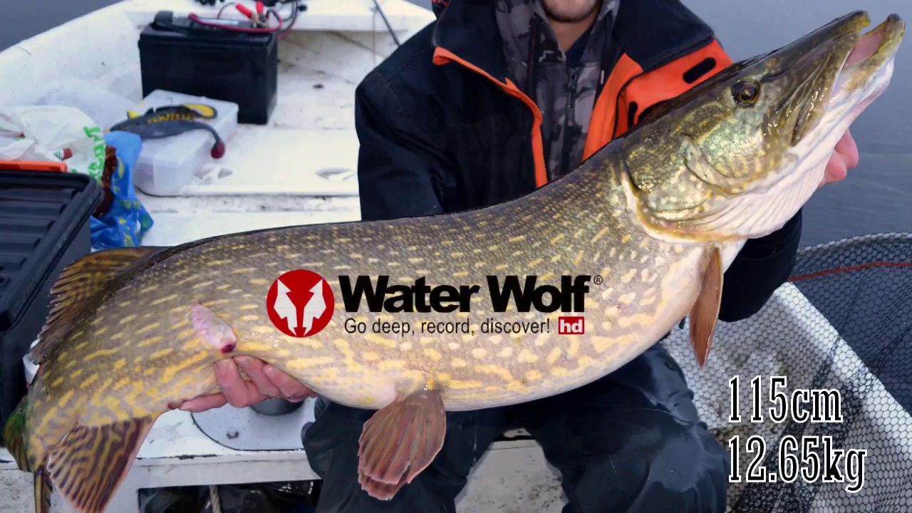 Big pike strike caught on underwater camera - 12.65kg on jerkbait - YouTube