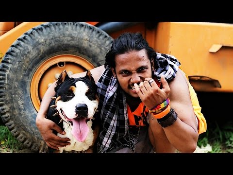 PITBULL ● NEW PUNJABI RAP 2017 ● FREESTYLE ● BADWALAMAD