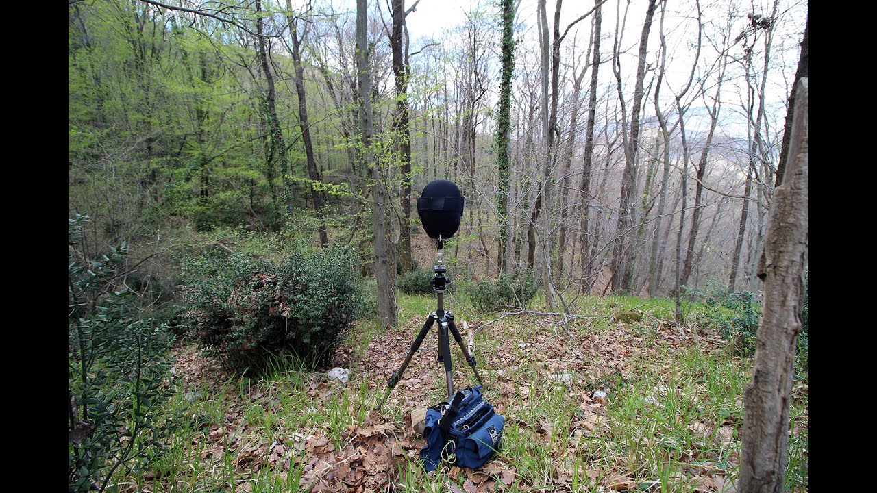 Early Spring - Binaural sound recording, Sounds of Nature. - YouTube