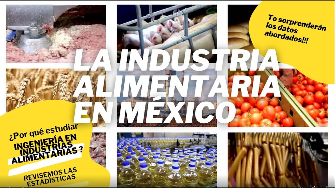 Industria Alimentaria en México | Ingeniería en Industrias Alimentarias ...