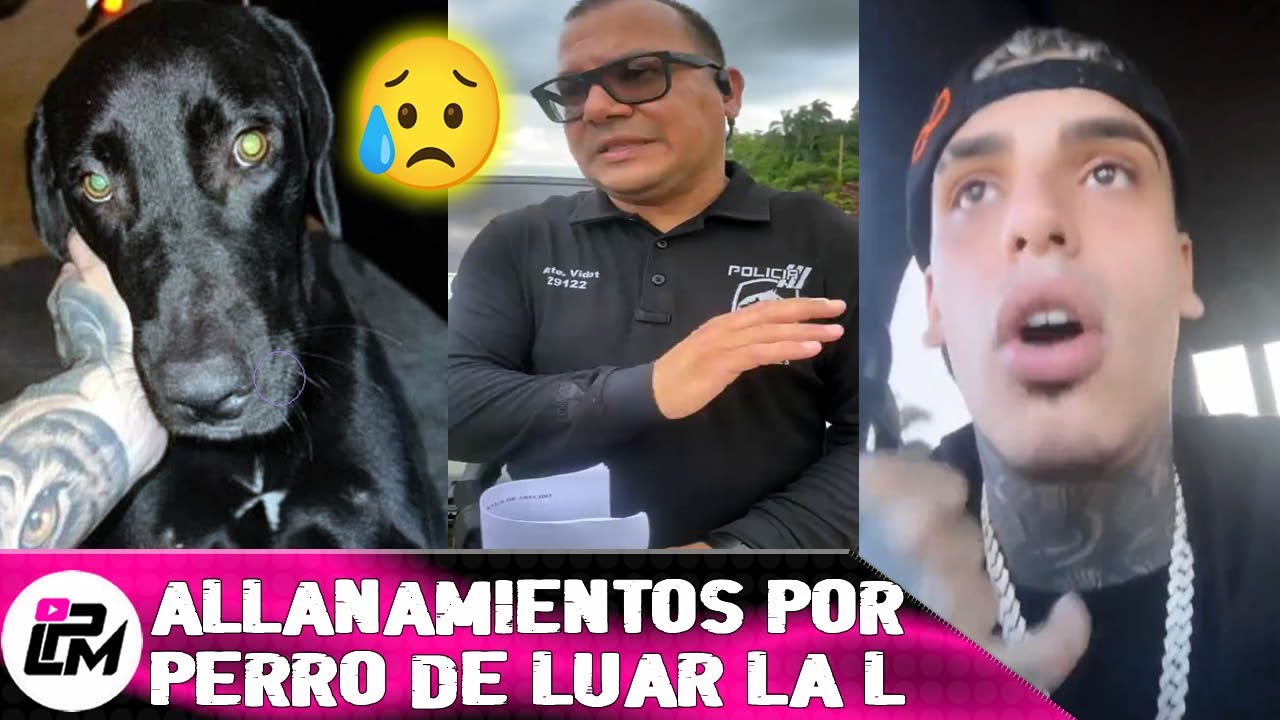 Allanan Albergue en busca de Jhonny perro de Luar La L - YouTube