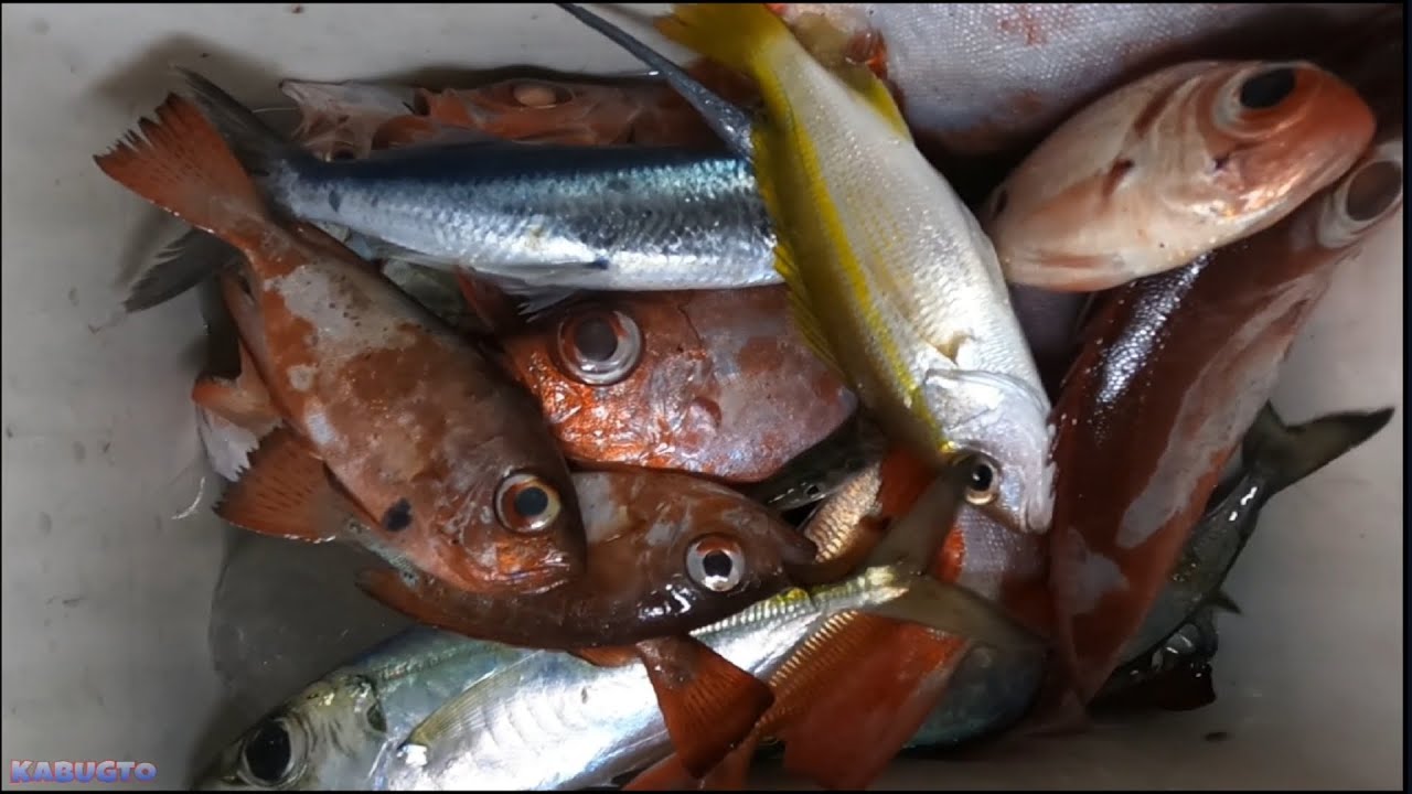 MABISA AT EFFECTIVE PAMAIN SA MATAMBAKA | DIY FISHING-P2 - YouTube