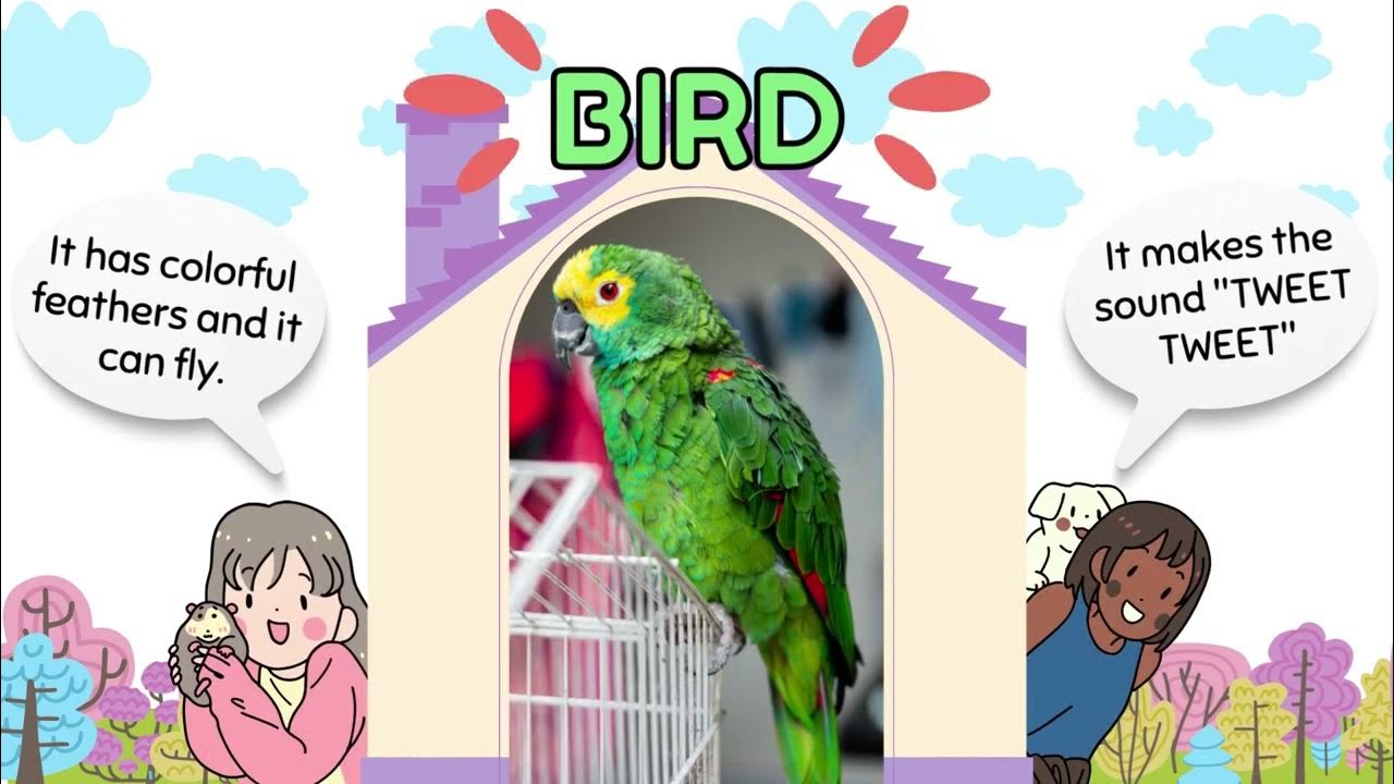 Guess The Pet Animal Game / Ice Breaker / Game for Kids - YouTube