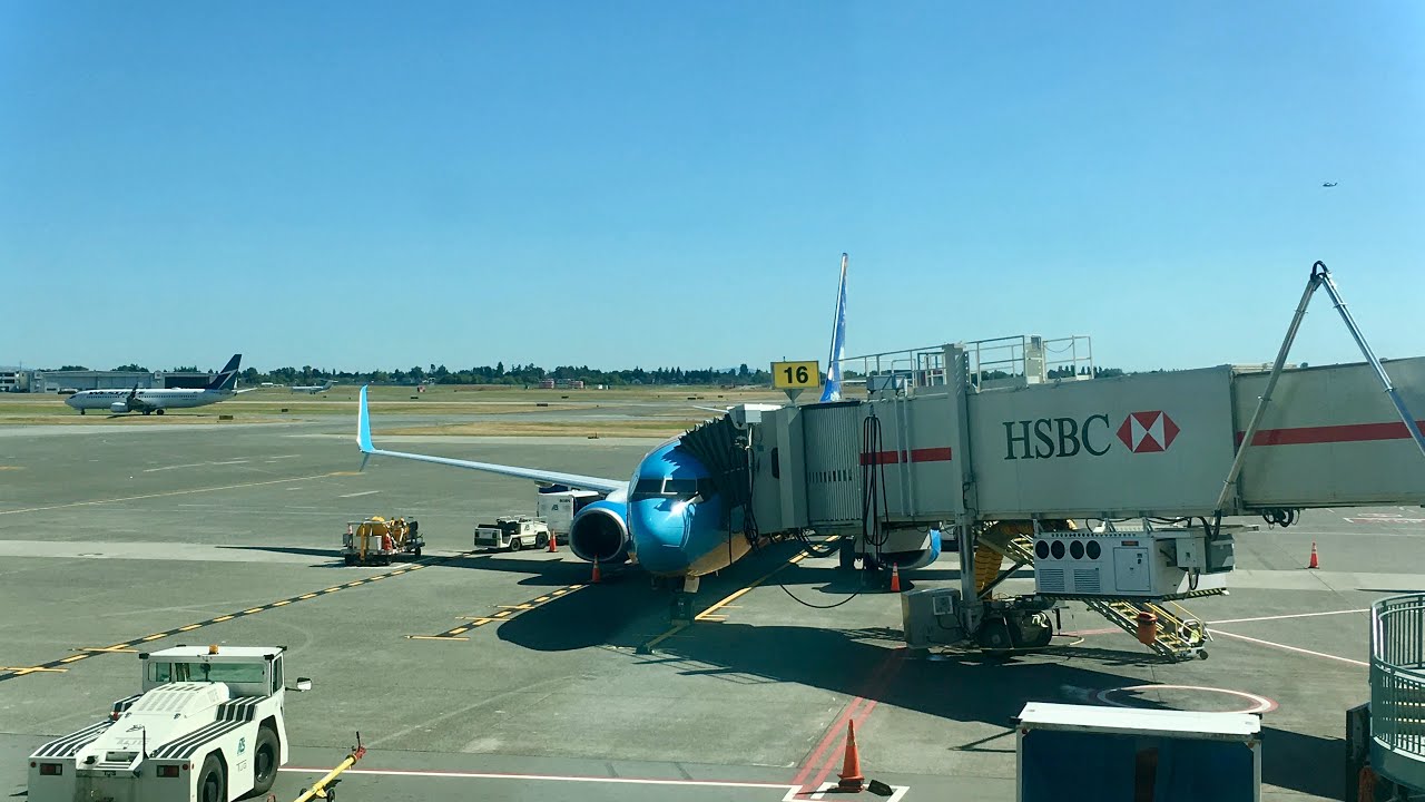 WestJet 737-800 Flight YYZ-YVR [DISNEY FROZEN JET] - YouTube