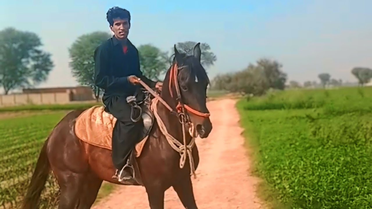 Sonia Heer Indian Emraan Hashmi Song Parvaizali - YouTube