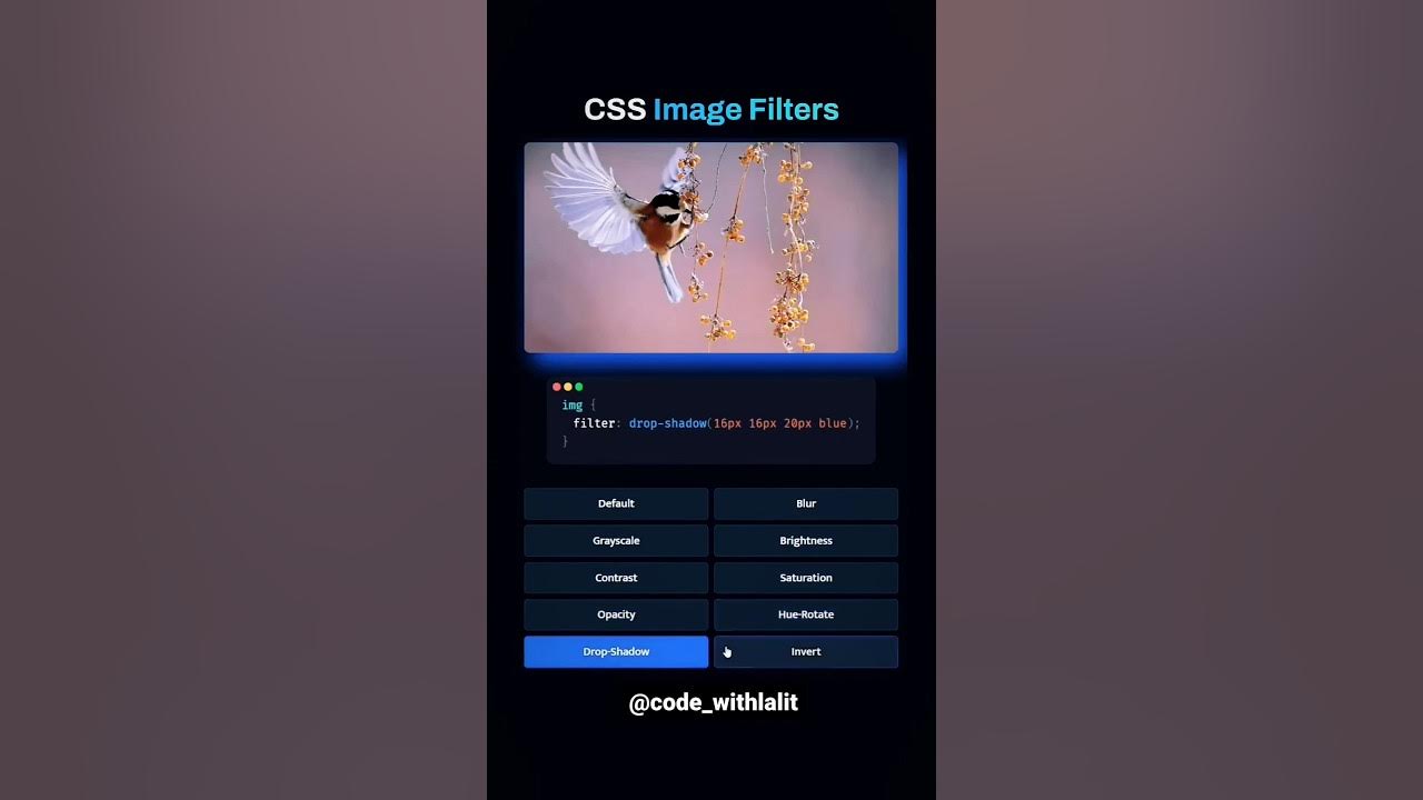 CSS Image filters🧑‍💻 #coding #programming #2024 #cssanimation #csstricks #javascript #frontend # ...