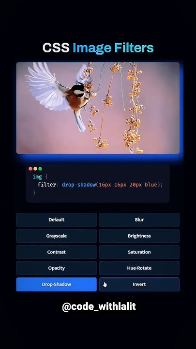 Css Image Filters🧑‍💻 Coding Programming 2024 Cssanimation Csstricks Javascript Frontend