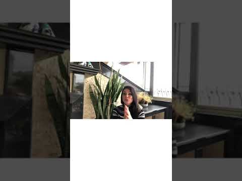 Kendinizi olta düşünün, hangi iğneleri oltaya takıyorsunuz?