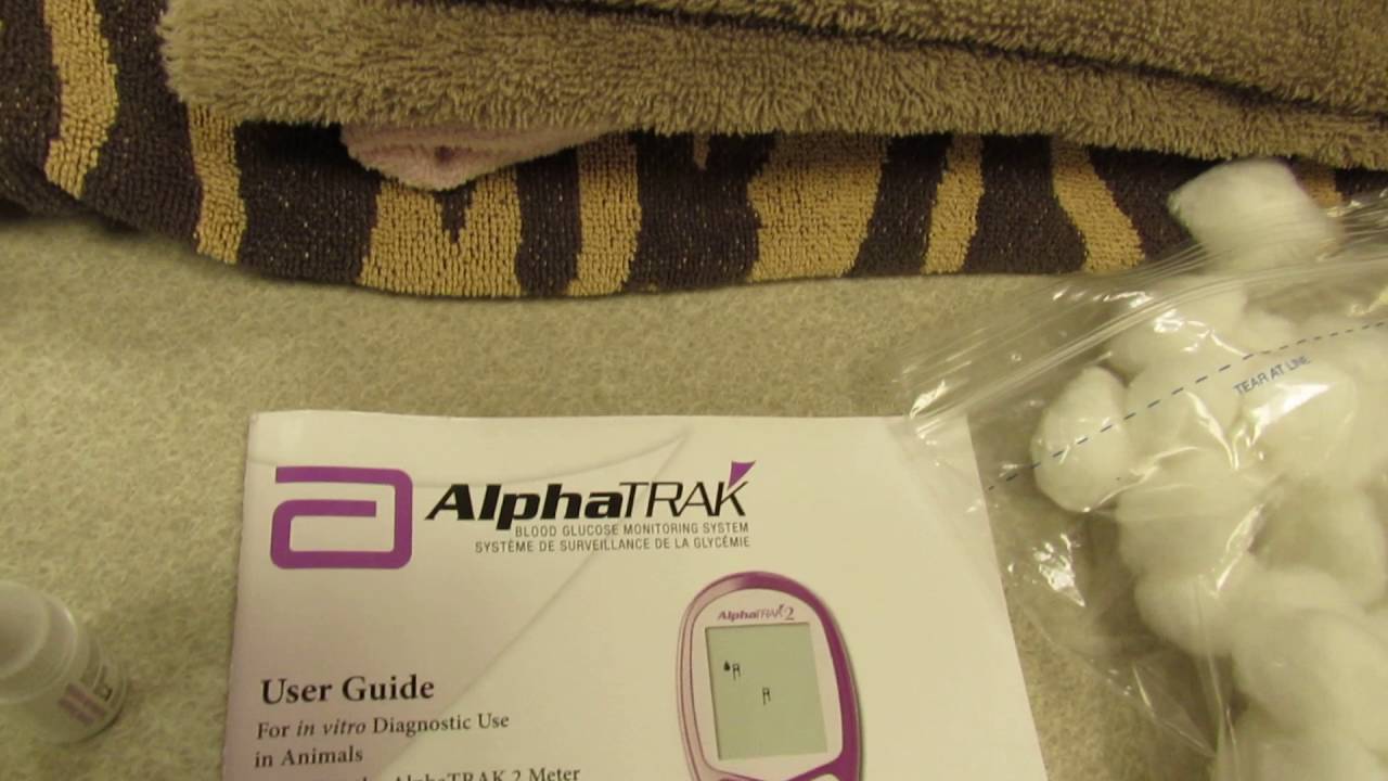 Alphatrack - YouTube