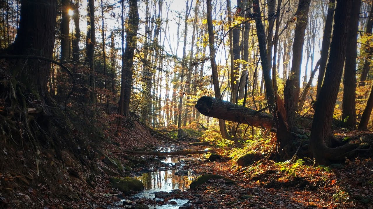 A photo hike with the Pentax K100D.