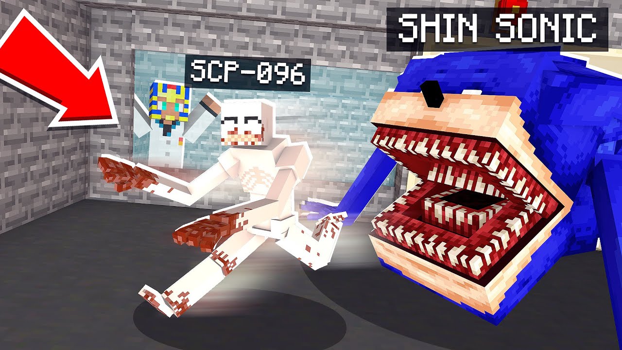 LEVEI O SHIN SONIC na FUNDAÇÃO SCP - YouTube