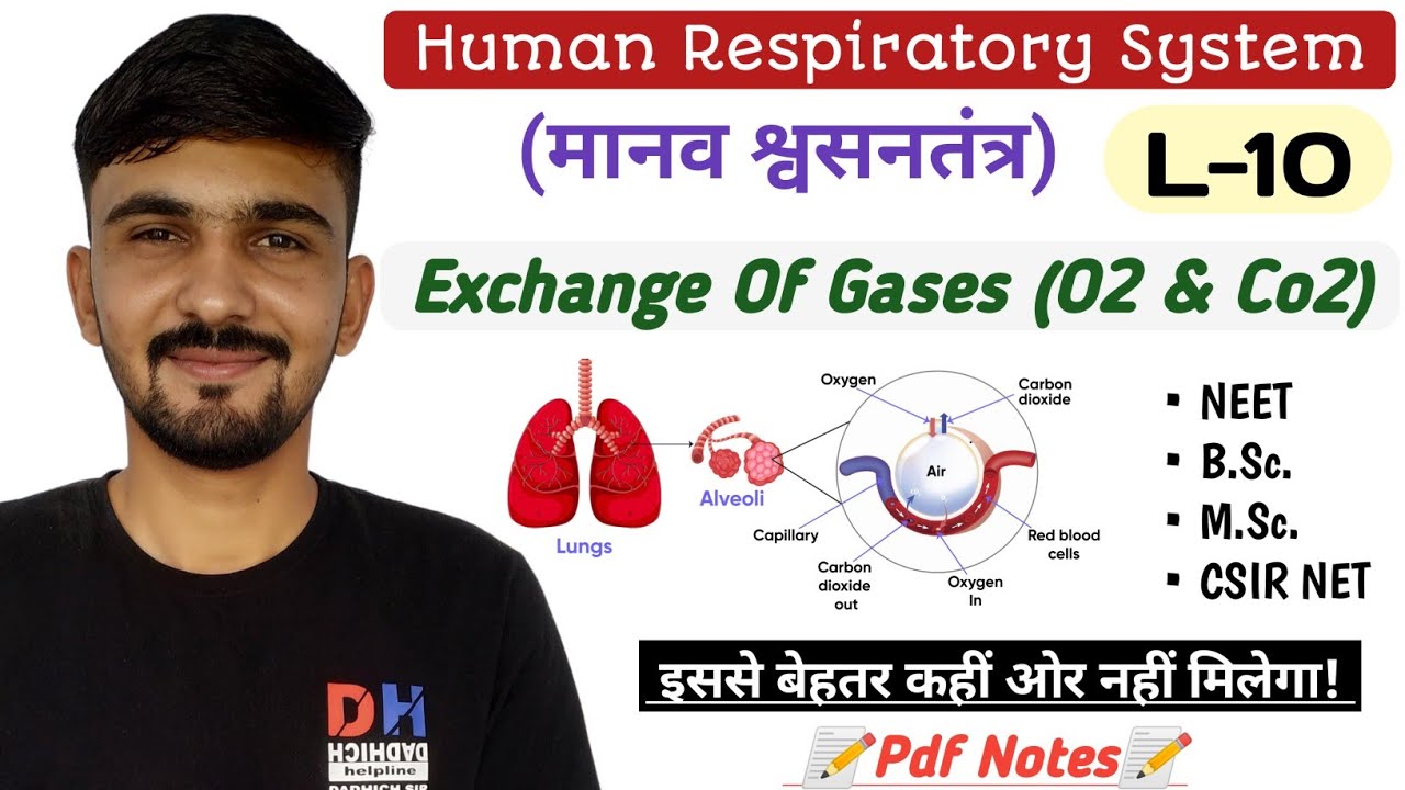 L-10 Exchange Of Gases In Lungs || O2 & Co2 Transport || Human ...