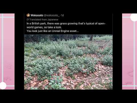 Oh That's Valid Points, That's Valid Points In My Xitpost Video