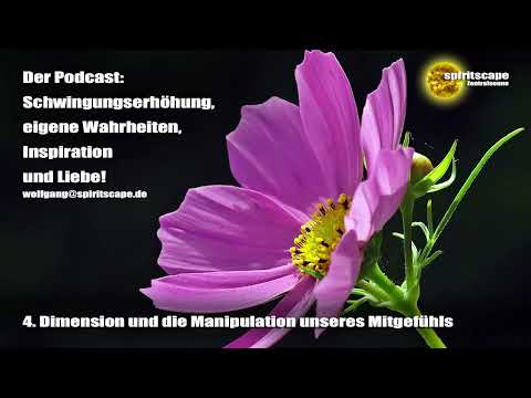 4. Dimension und die Manipulation unseres Mitgefühls - Podcast - YouTube