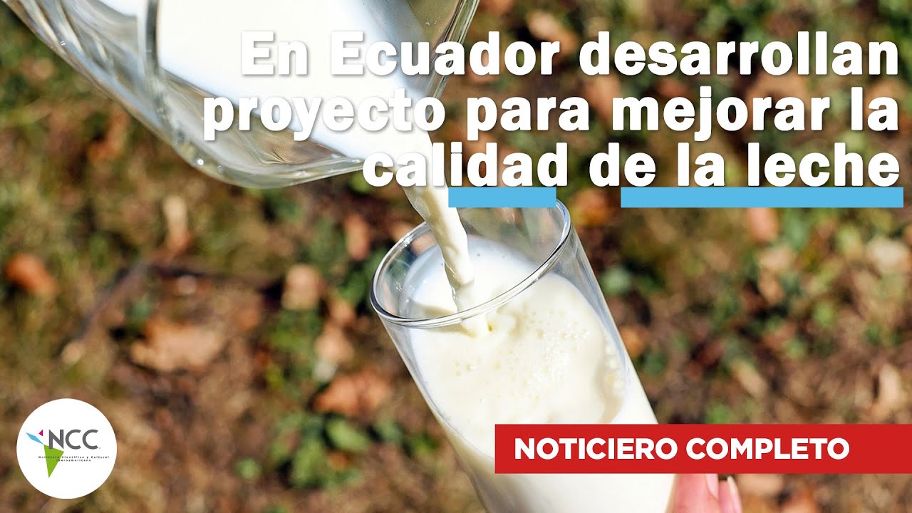 En Ecuador desarrollan proyecto para mejorar la calidad de la leche ...