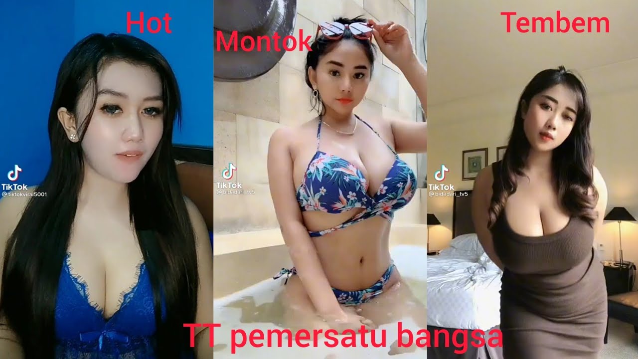 tiktok pemersatu bangsa tt hot montok tembem - YouTube