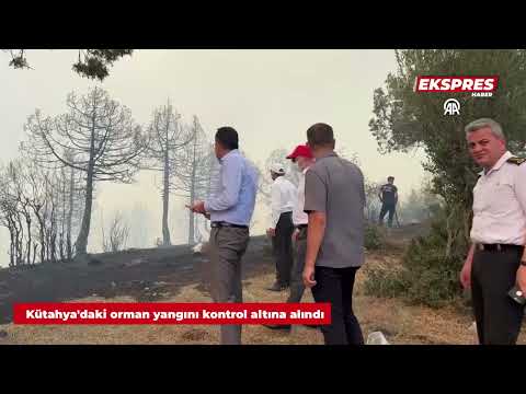 Kütahya'daki orman yangını kontrol altına alındı