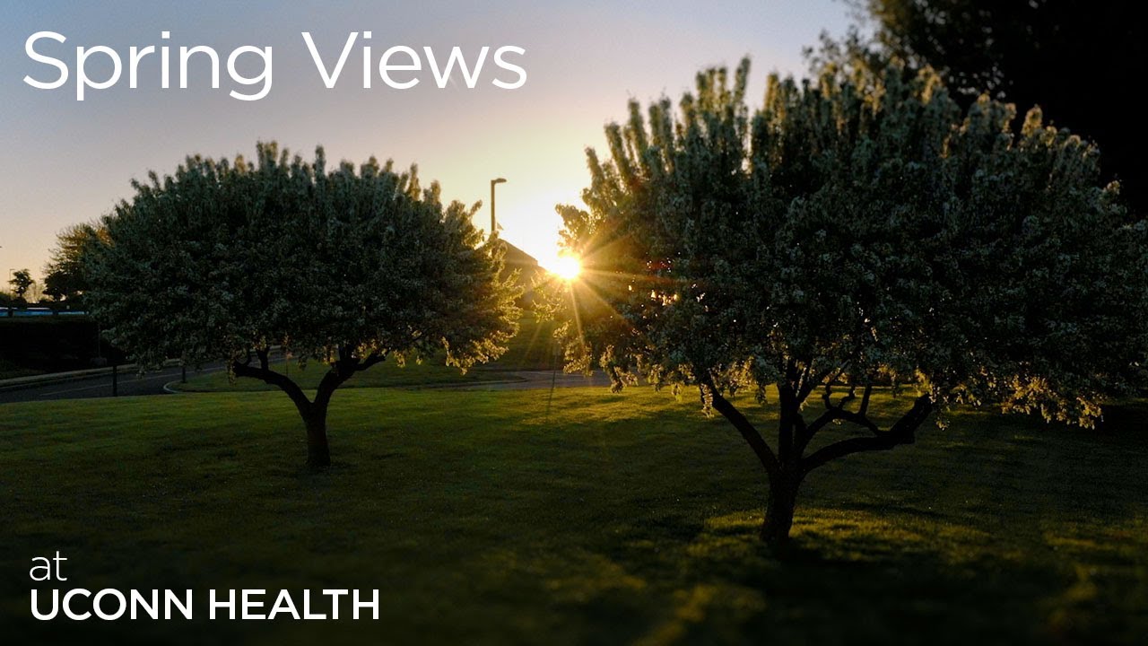Spring Views of UConn Health Campus - YouTube