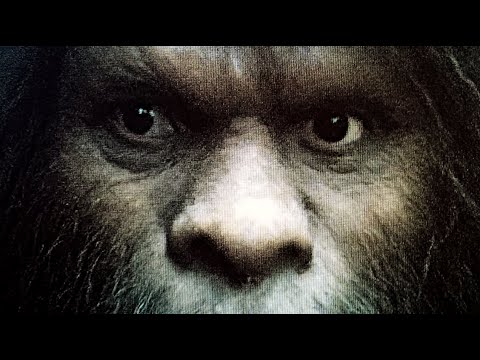 This is The Most HORRIFYING New Footage We Have EVER Featured On Our ...