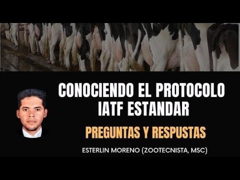 Protocolos de IATF Estandar en bovinos - YouTube