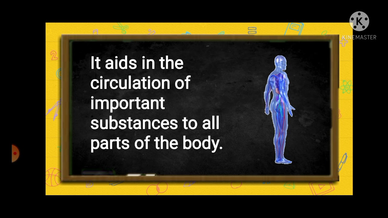 LESSON 2 BASIC PRINCIPLES OF EXERCISE YouTube lesson-2-basic-principles-of-exercise-youtube
