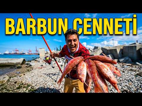 İSTANBUL'UN BARBUN MERASINI BULDUM