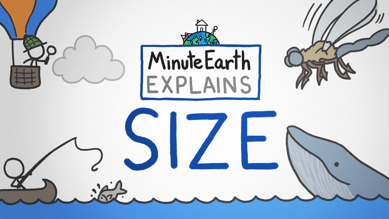 MinuteEarth Explains: Size - YouTube