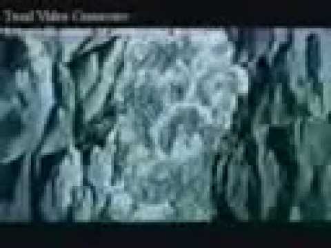 dragon ball z - linkin park 3gp(1).3gp