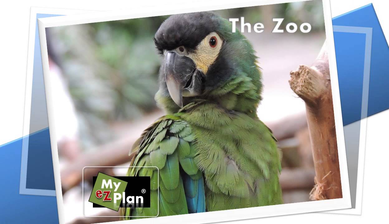 Latimer Cabin - YouTube