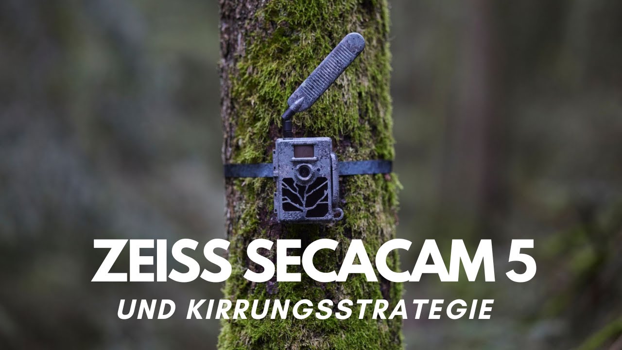 ZEISS SECACAM | Unsere Kirr-Strategie & ein Update im Revier | chris ...