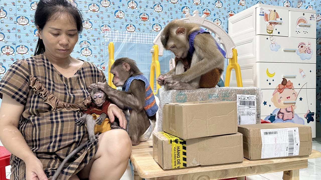 lots of great gifts by Andrea Nagy | monkey Sam Asher baby Bob opening ...