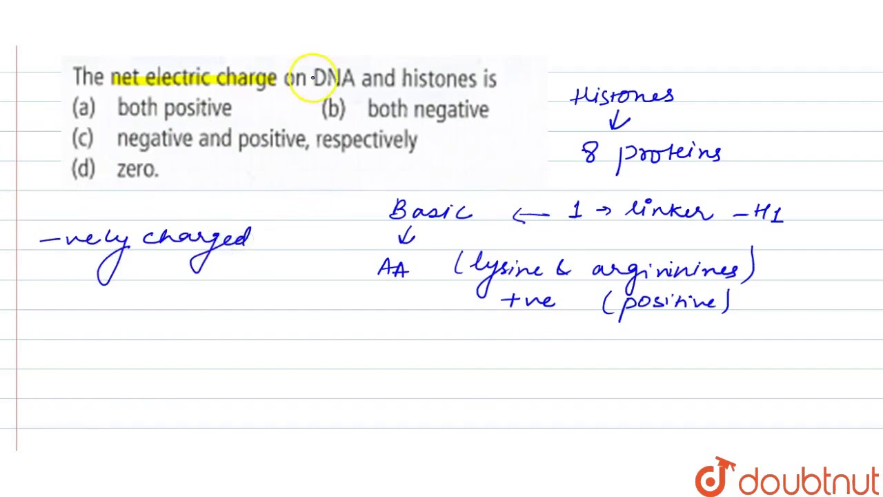 The net electric charge on DNA and histones is - YouTube