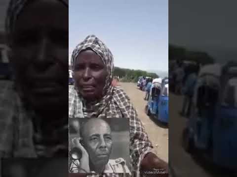 BEESHA GARI KOONBE OO XADUUQII UGU XUMAA OROMO U GAYSATAY.