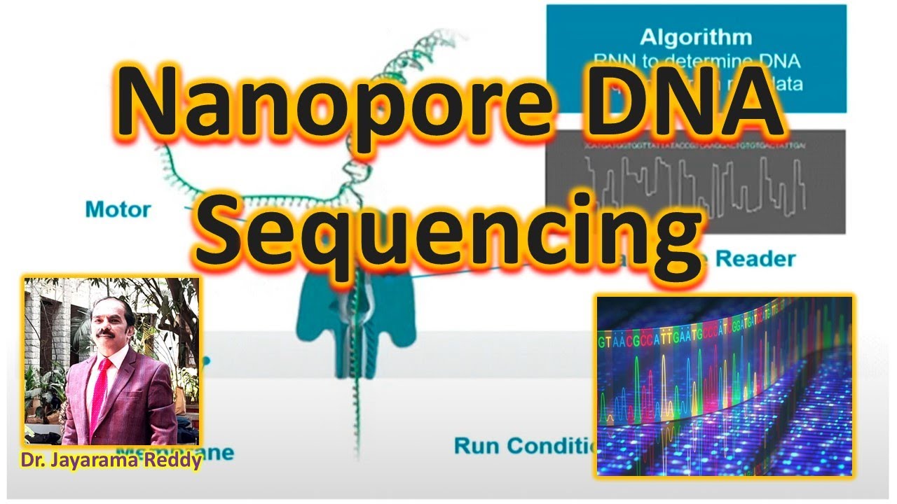 Nanopore Technology| DNA Sequencing| Next Generation Sequencing ...