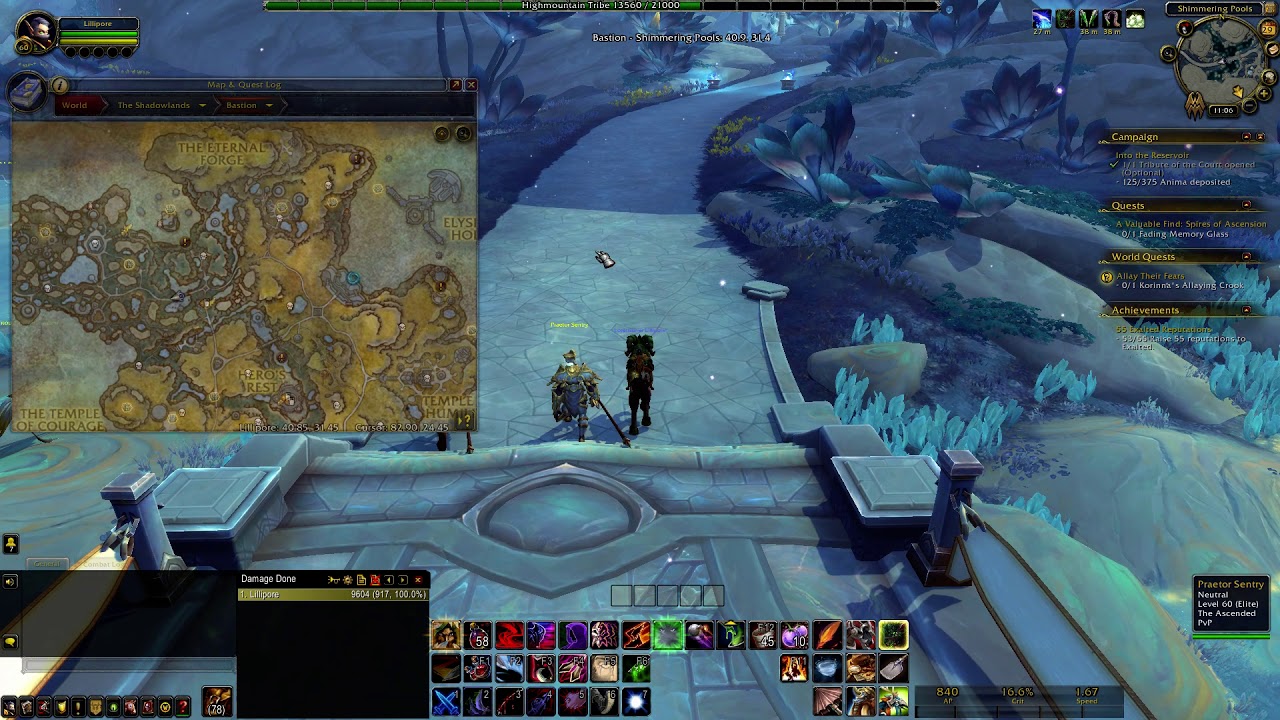 World of Warcraft - Silverwind Larion Mount - YouTube